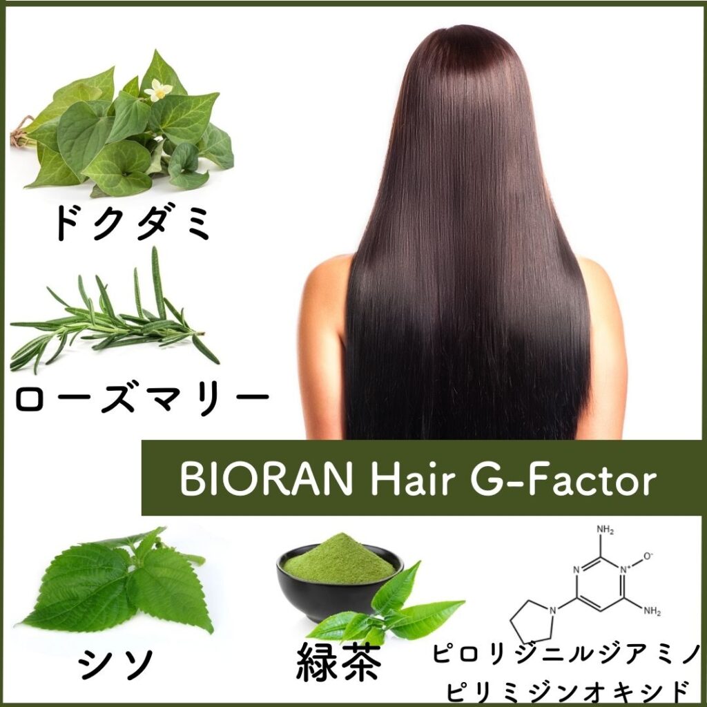 BIGAMI LUXURY ANAGIAN SPA HAIR CARE PACK - 美肌さいさい (Bihadasaisai)